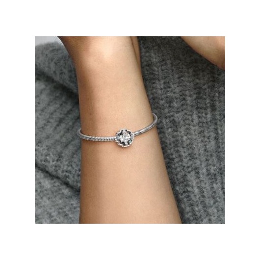 Deze PANDORA Disney Aladdin - Aladdin & Jasmine 792349C01 is online te ...